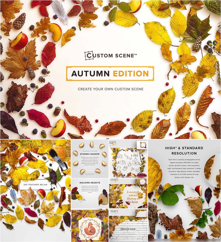 Autumn custom scene mockup | Free download