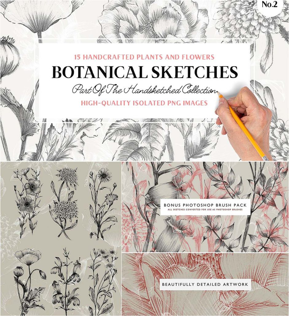 Handcrafted flower illustrations | Free download