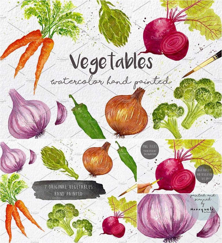 Vegetables watercolor hand made | Free download