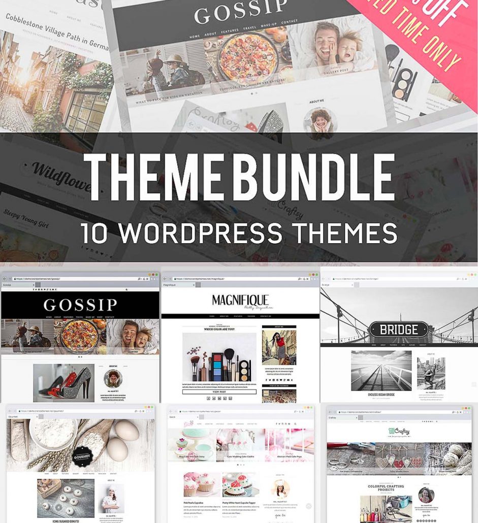 10in1 WordPress theme bundle | Free download