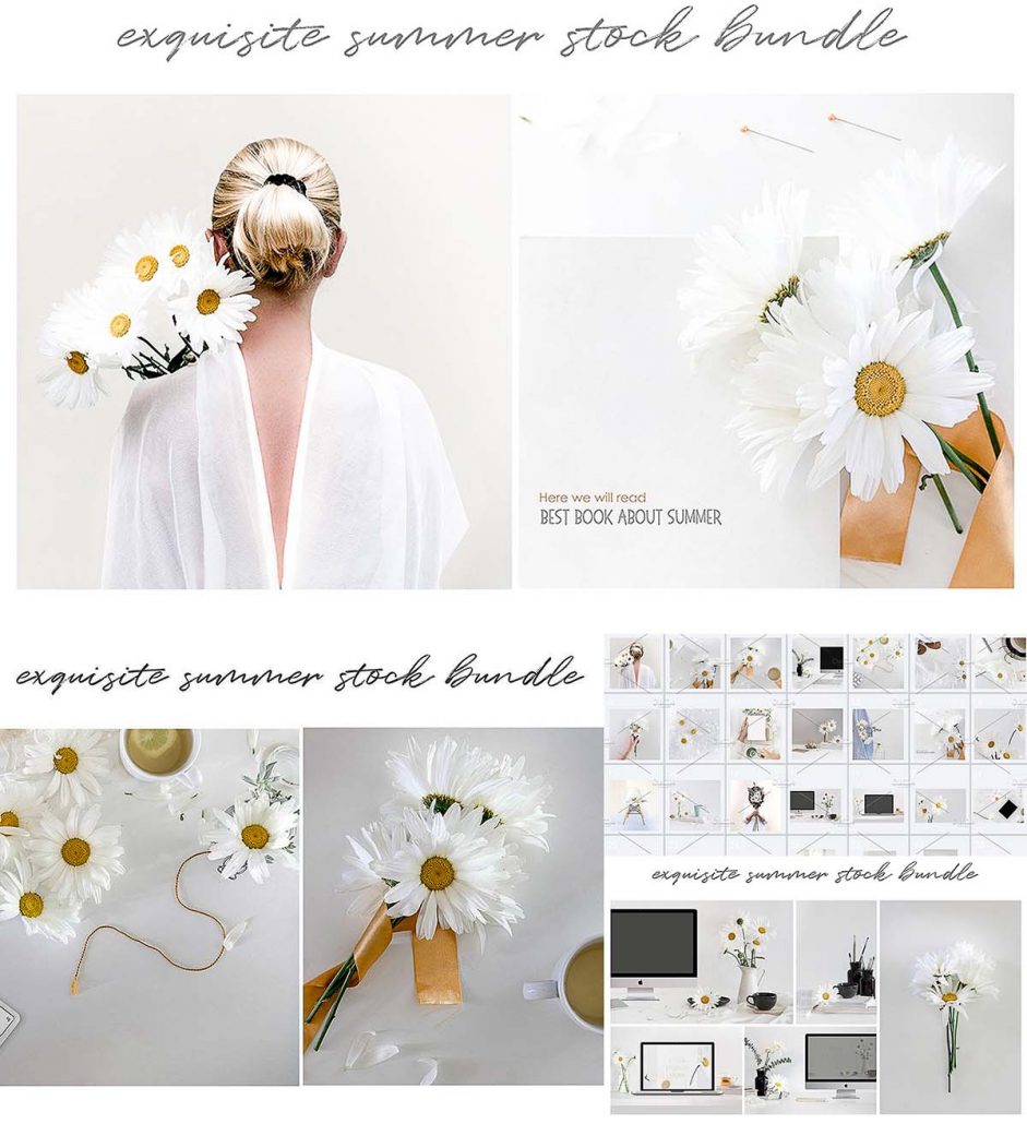 Chamomile styled photo bundle | Free download