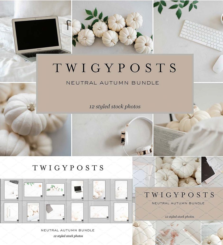 Neutral autumn styled photos | Free download