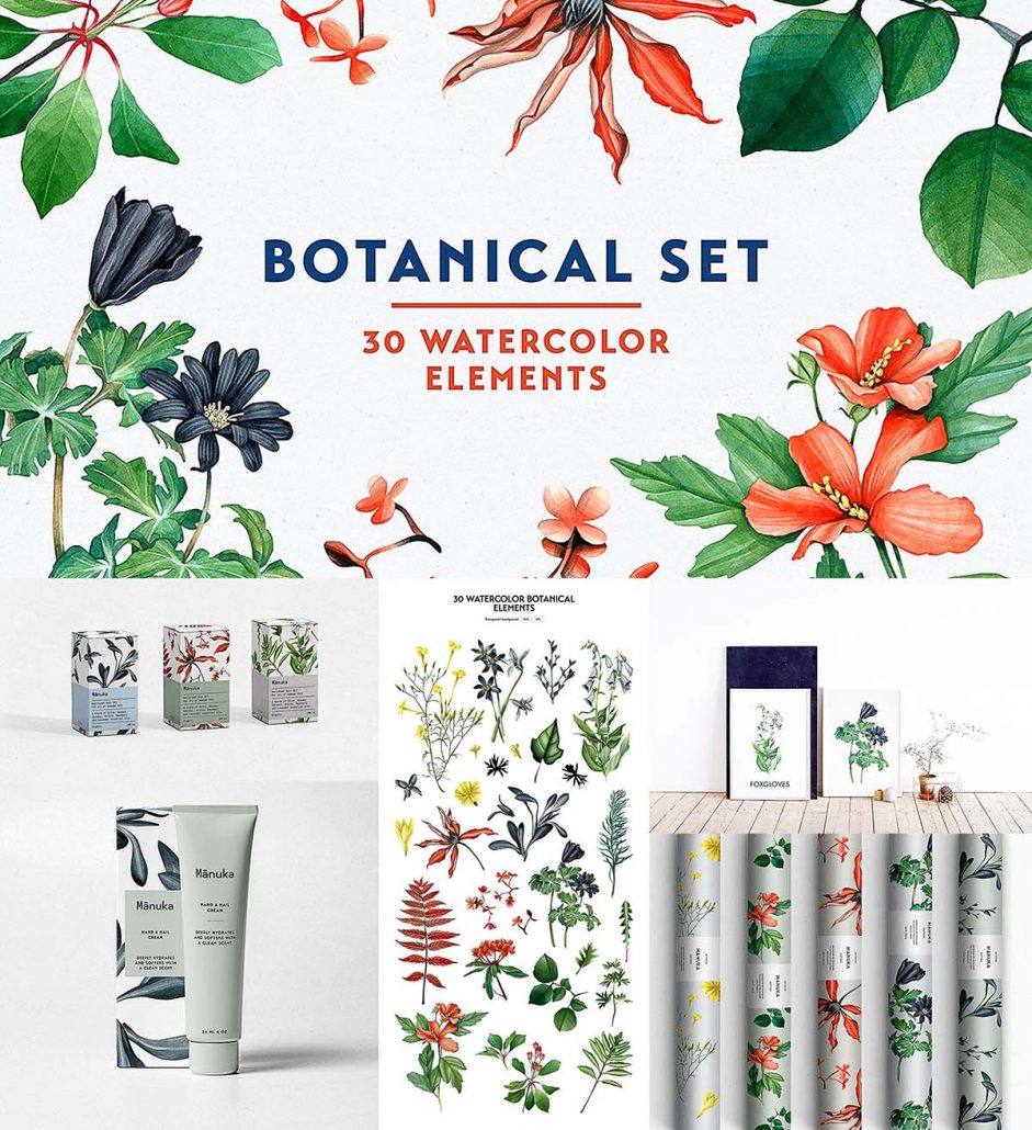 Botanical watercolor set | Free download