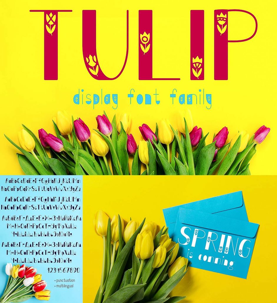 Tulip Font Family | Free download