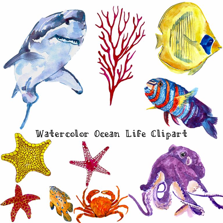 Watercolor Ocean Life Clipart | Free download