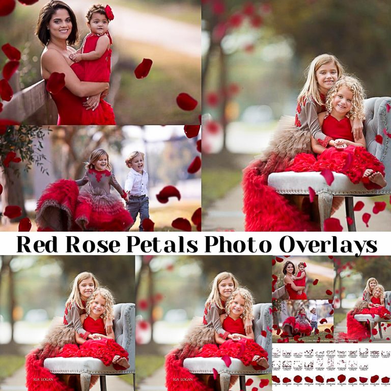 Red Rose Petals Photo Overlays | Free download