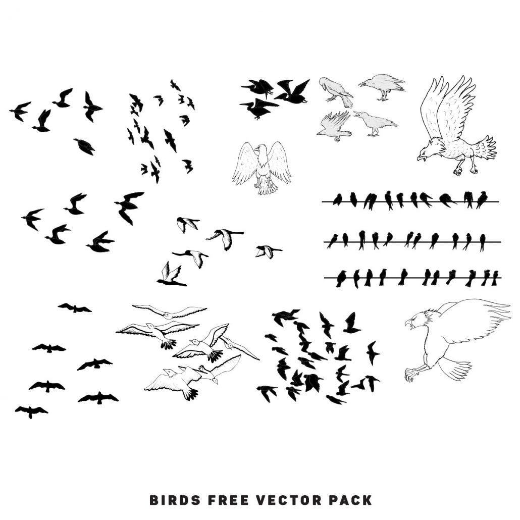 Birds Free Vector Pack | Free download