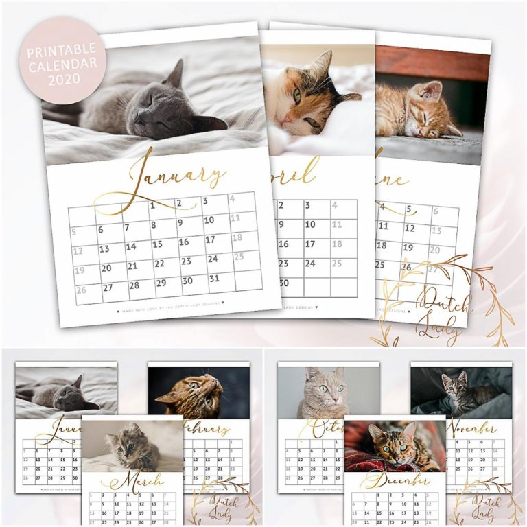 Printable Cat Calendar 2020 | Free download