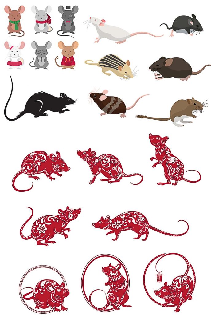Rat Image Vector Collection | Free download