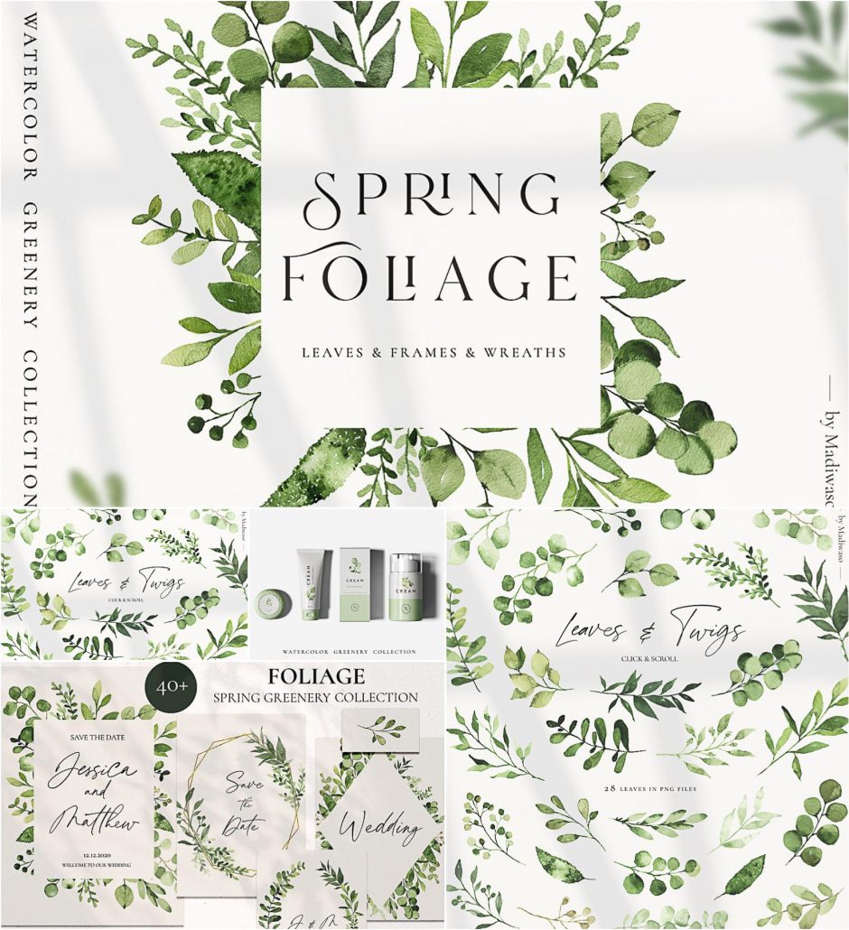 Spring Foliage Greenery Collection | Free download