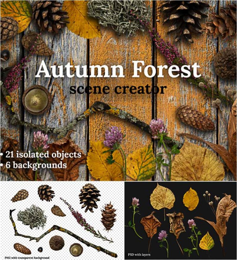 Autumn Forest Scene Creator | Free download