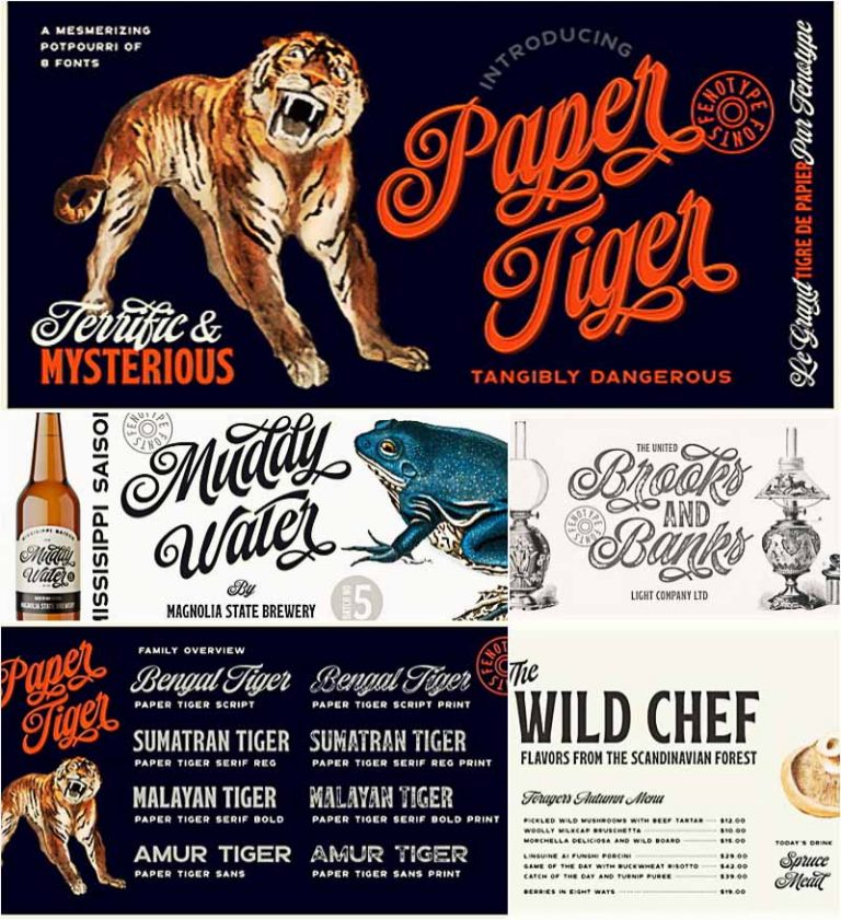 Paper Tiger Font Family | Free download