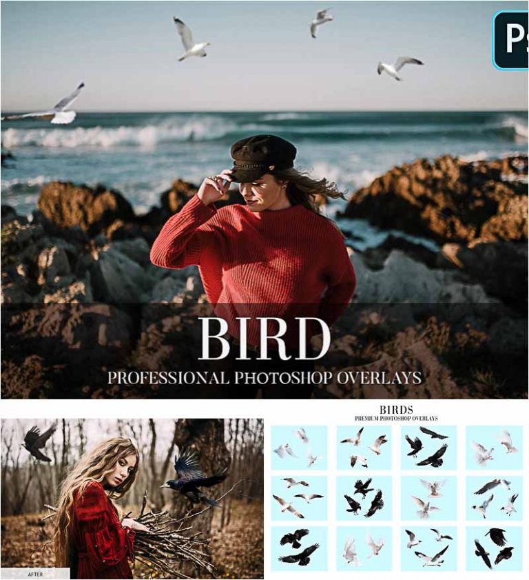 Bird Photoshop Overlays | Free download