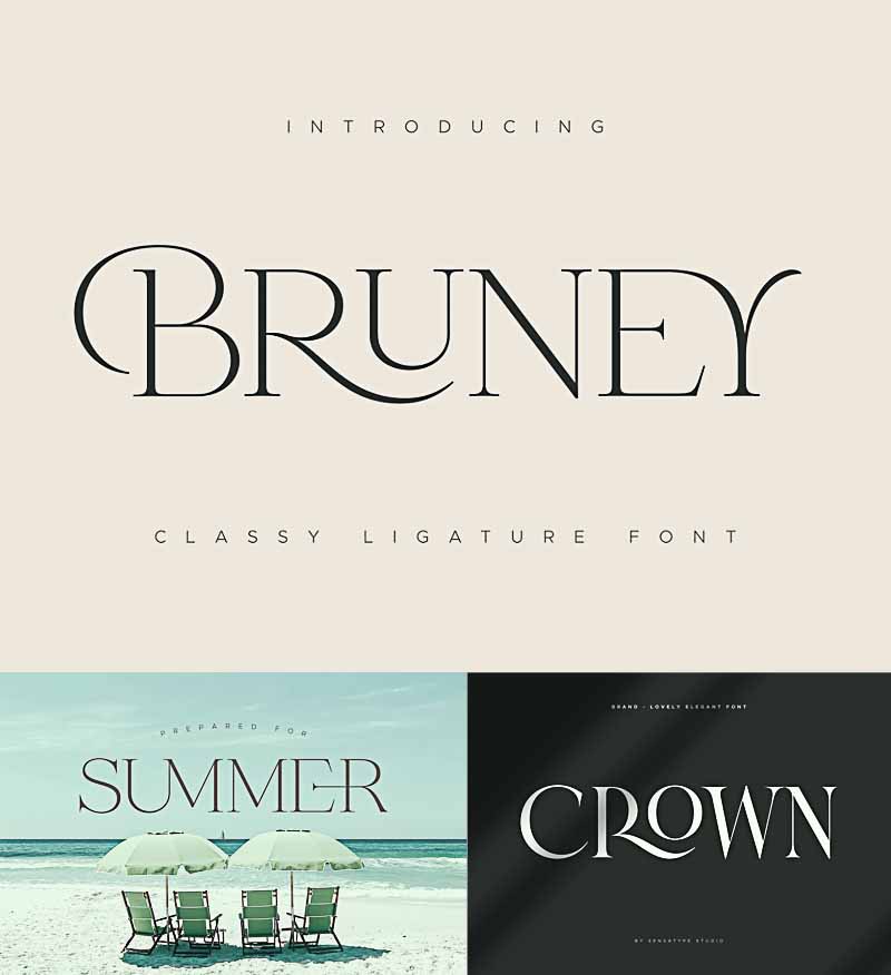 Bruney Classy Ligature Font | Free download