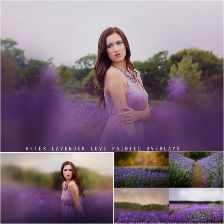 Lavender Photo Overlay Set | Free download